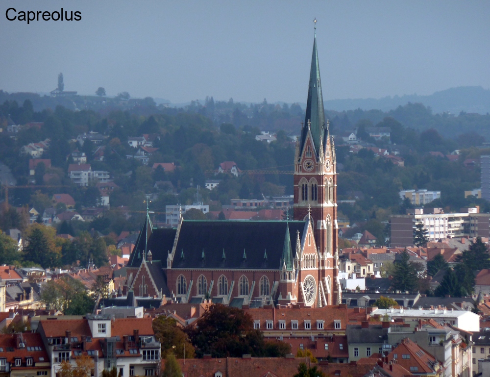 Stadtpfarre Graz Herz-Jesu - Graz