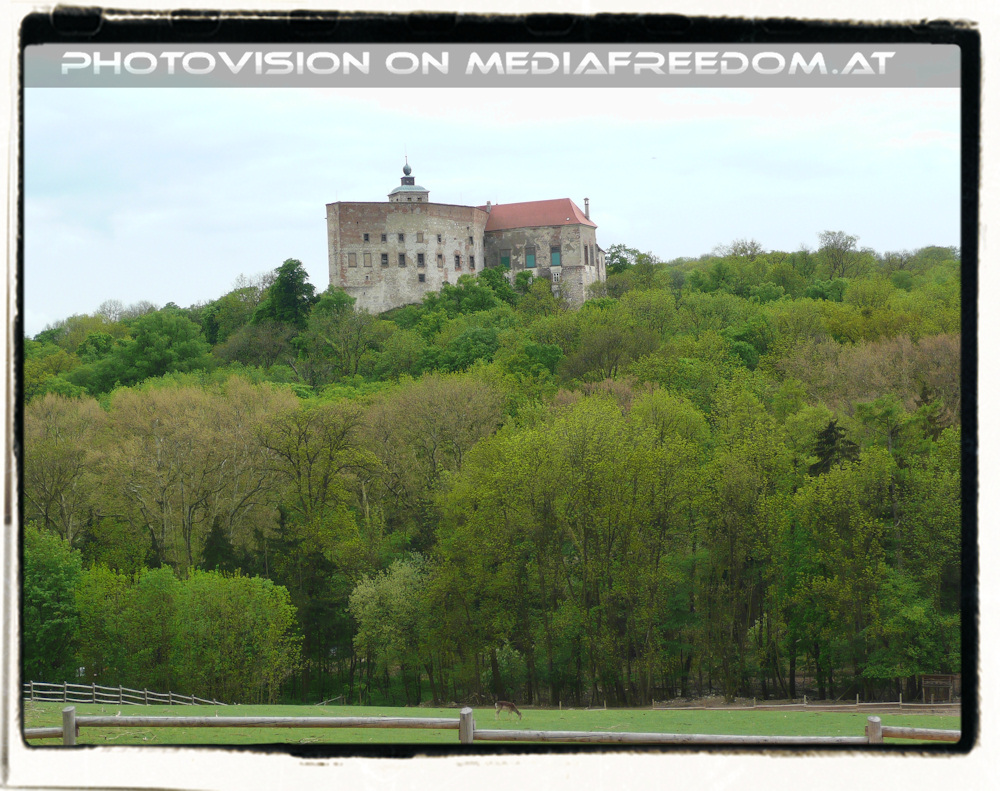 Schloss Ernstbrunn - Wildpark Ernstbrunn