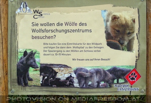 Wolf Science Center 03 - Schlosspark Ernstbrunn