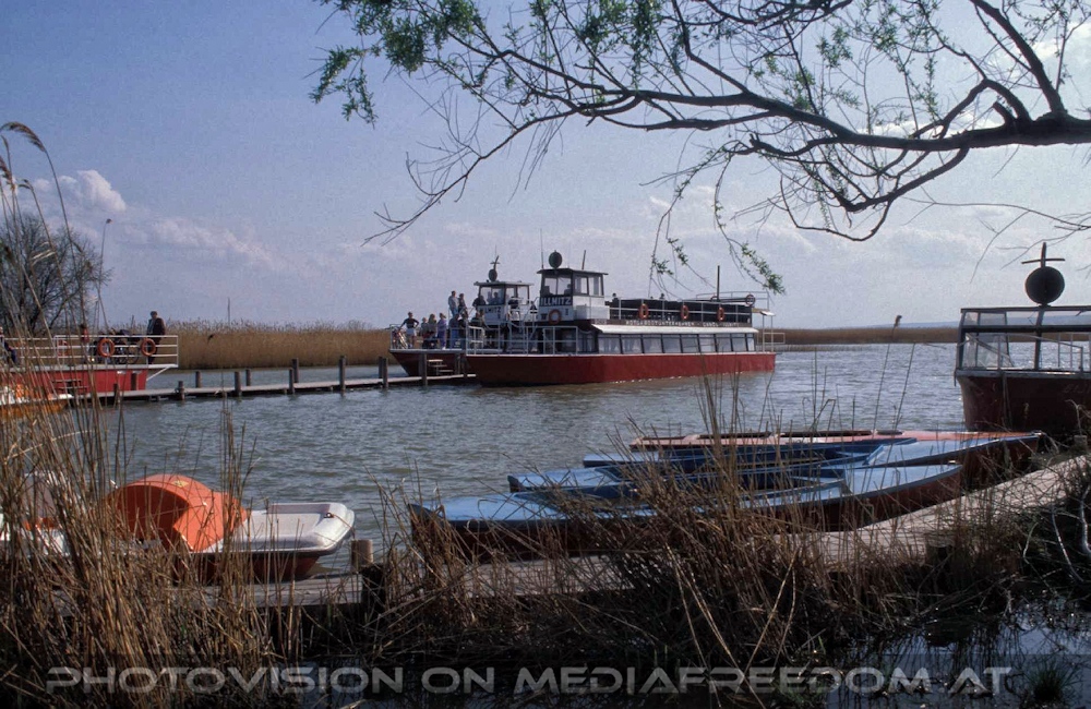 Illmitz 1 - Am Neusiedlersee