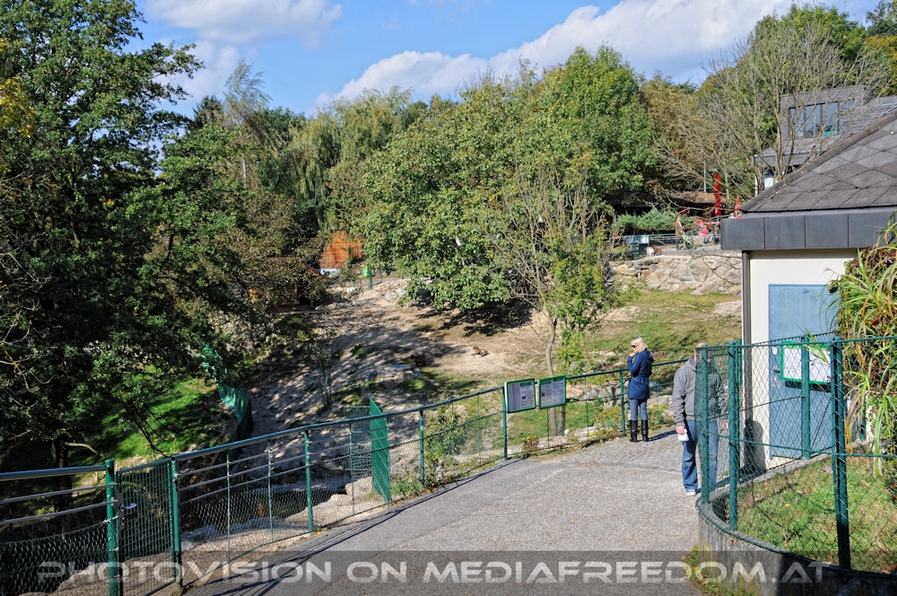 Linzer Tiergarten 14 - Zoo Linz