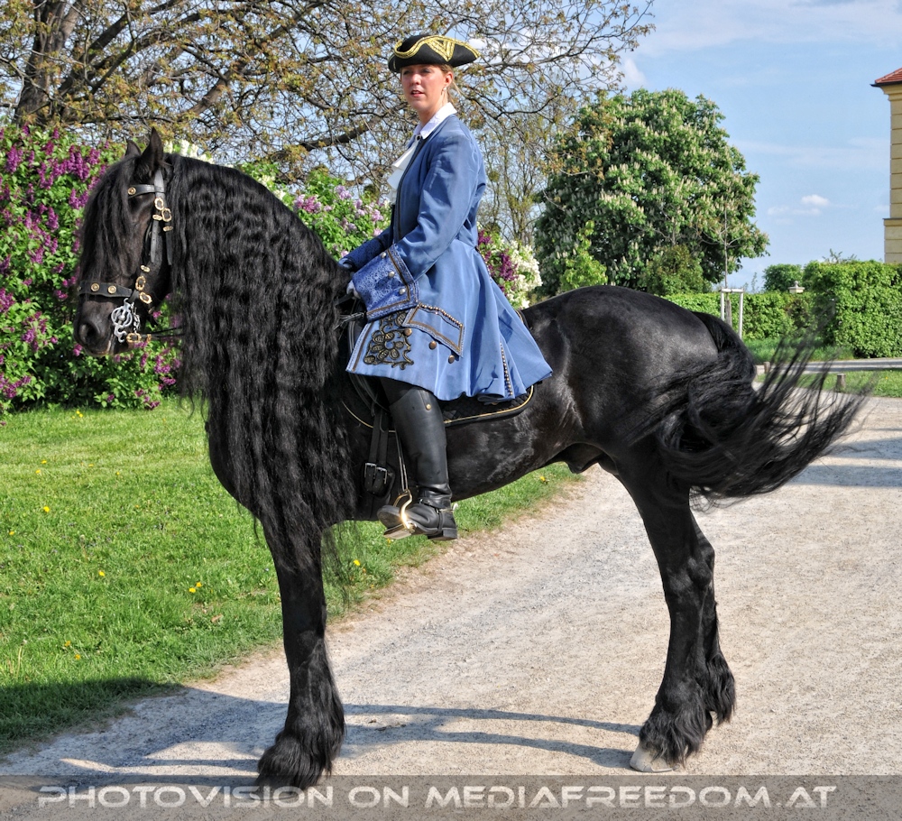 Friese mit Reiterin - Schloss Hof (Historisches Maifest)