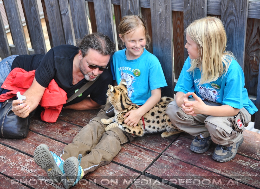 Ich bin ein Star 18 - Weisser Zoo - Kameltheater Kernhof