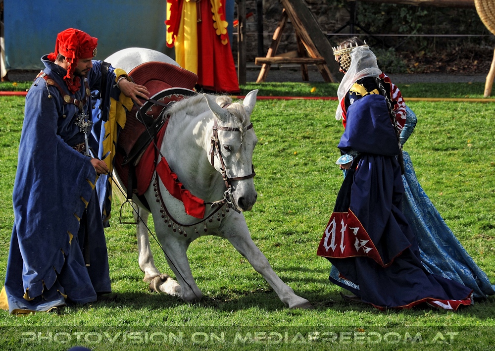 Das Turnier 10 - Rosenburg (Ritterturnier)